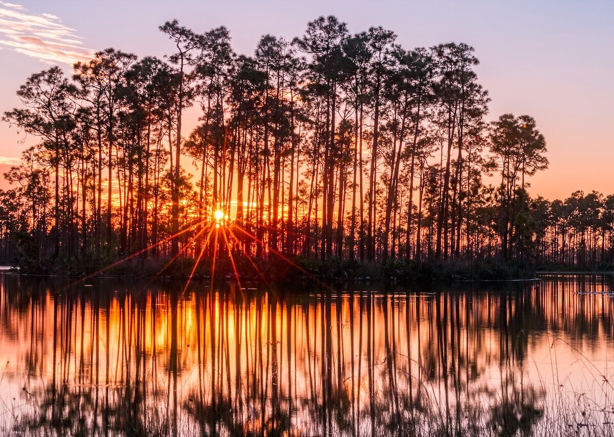 Fall Notes From Florida