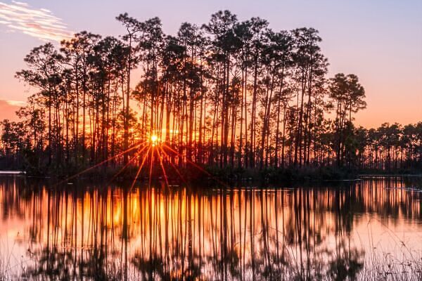 Fall Notes From Florida