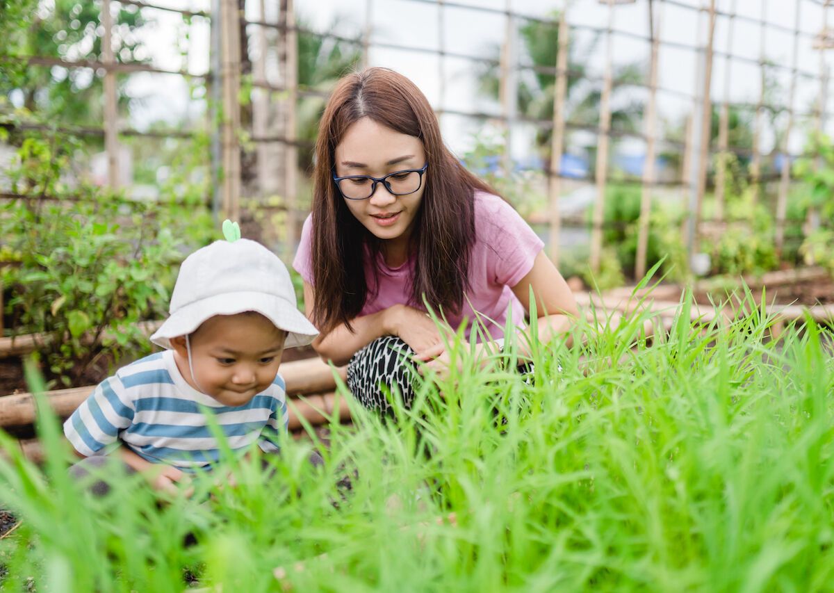 Learning Experiences: Organic Farming in Japan