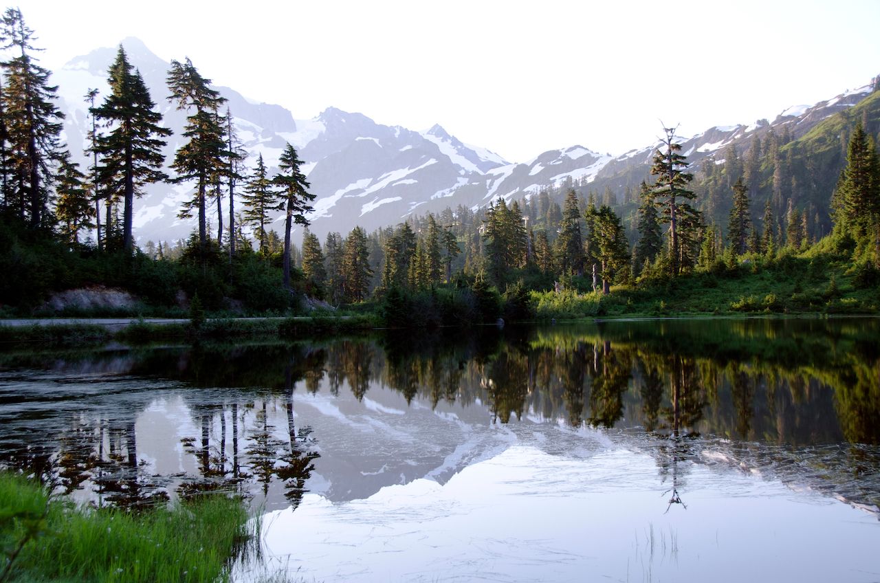 Washington travel guide: Everything you need to know about visiting ...