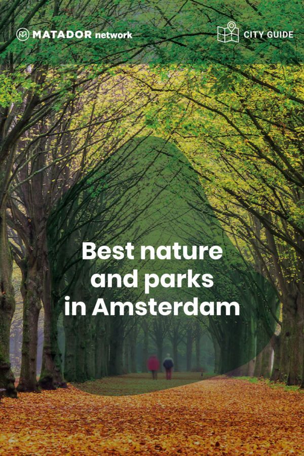 The best parks and green spaces in Amsterdam