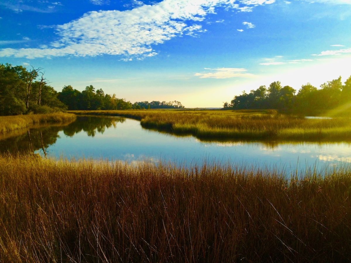 Mississippi travel guide: Everything you need to know about visiting ...