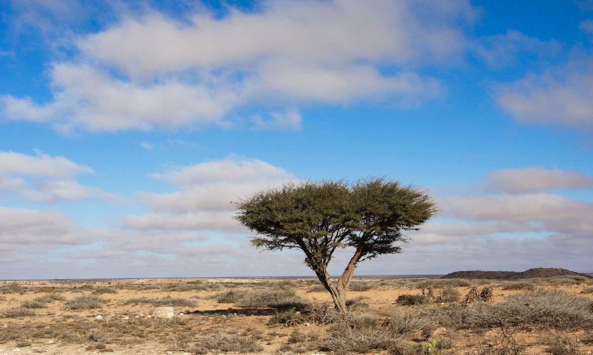2024 Somalia Travel Guide - Matador