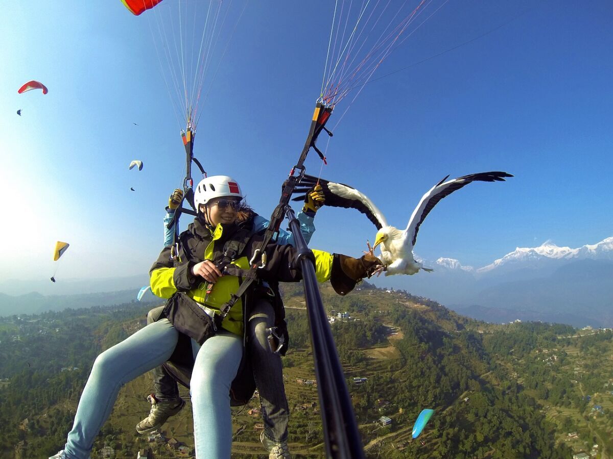 Parahawking Allows Humans and Raptors To Soar as a Team