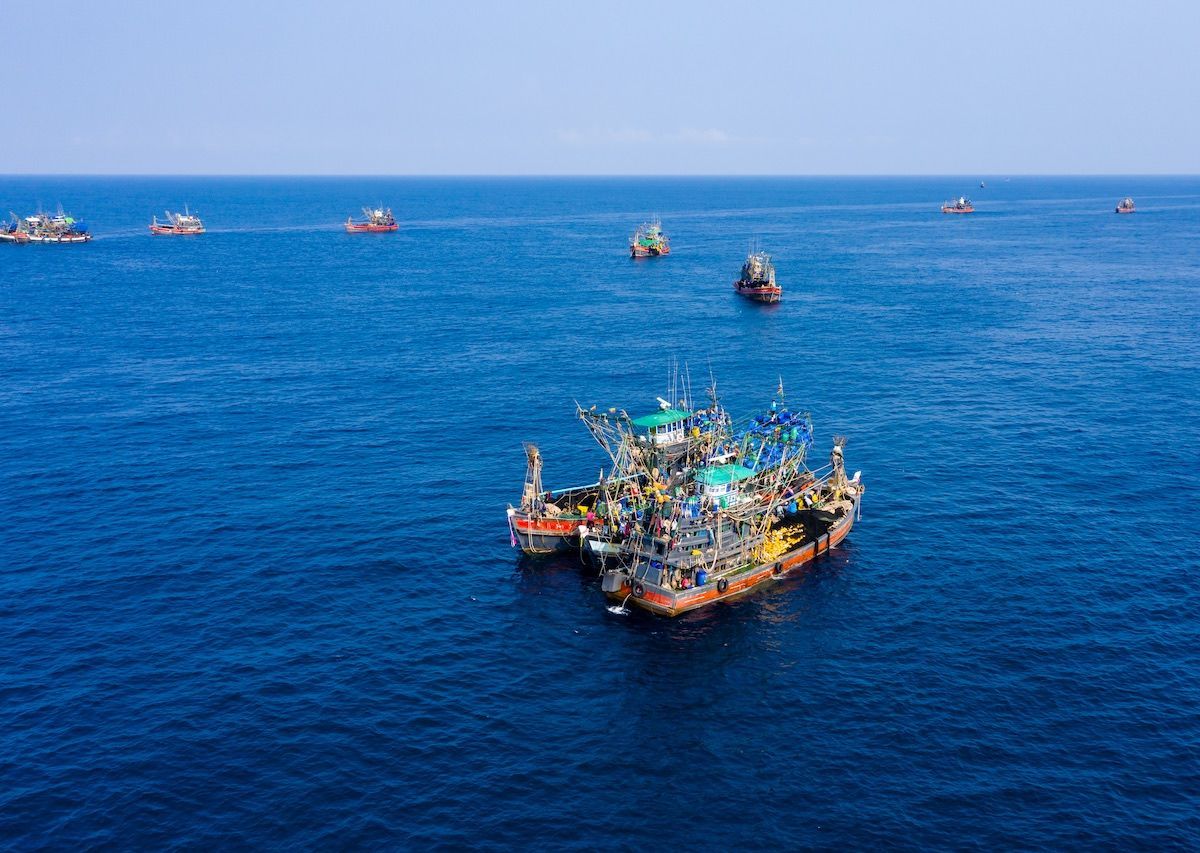 The 5 Biggest Crises Facing Our Oceans Today (and Why You Should Care)