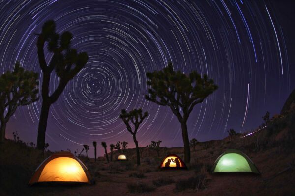 75th Anniversary Party for Joshua Tree National Park