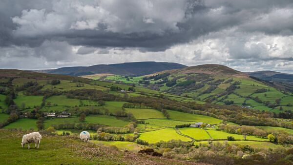 24 Hours in the Welsh Countryside