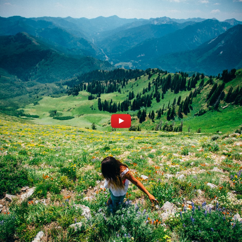 Exploring the Summertime Beauty of Utah
