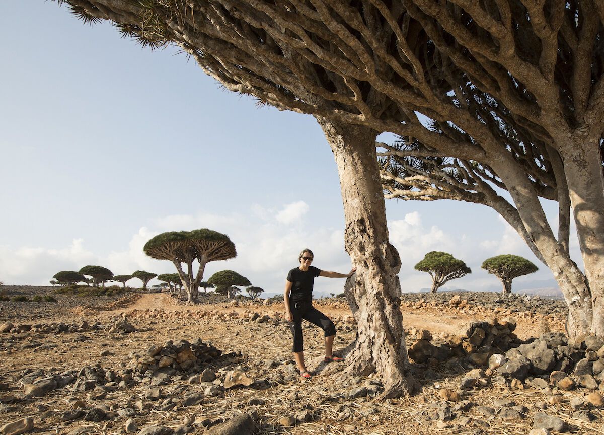 How to: Travel to Socotra Island, Yemen