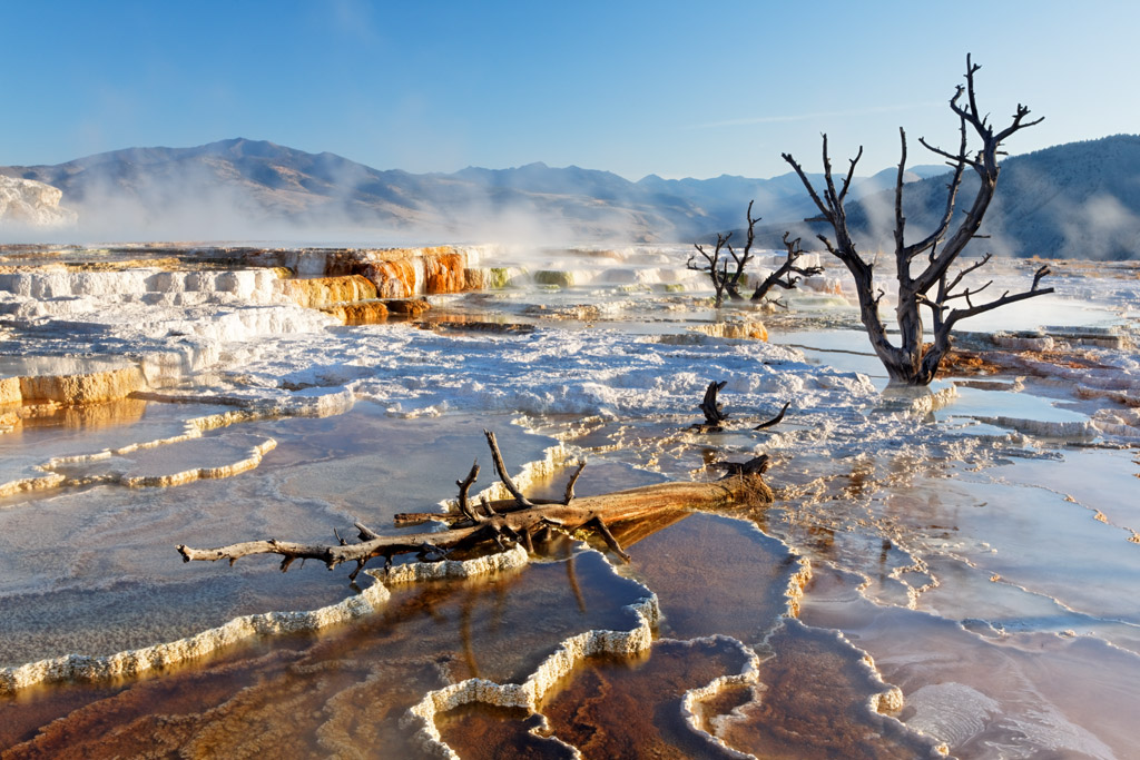 Here Are 10 Simple Steps to Crisper Photography