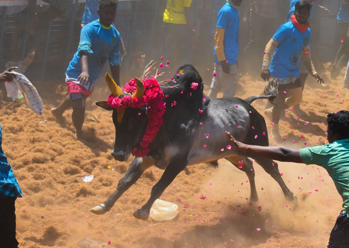 7 Harvest Festivals Around the World That Make Thanksgiving Look Boring