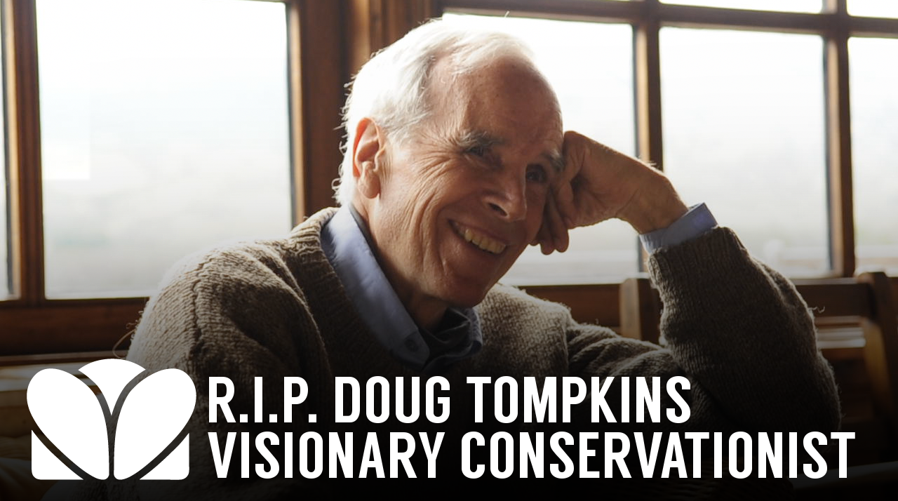 That's What Activism Is: Conversations With the Late Doug Tompkins