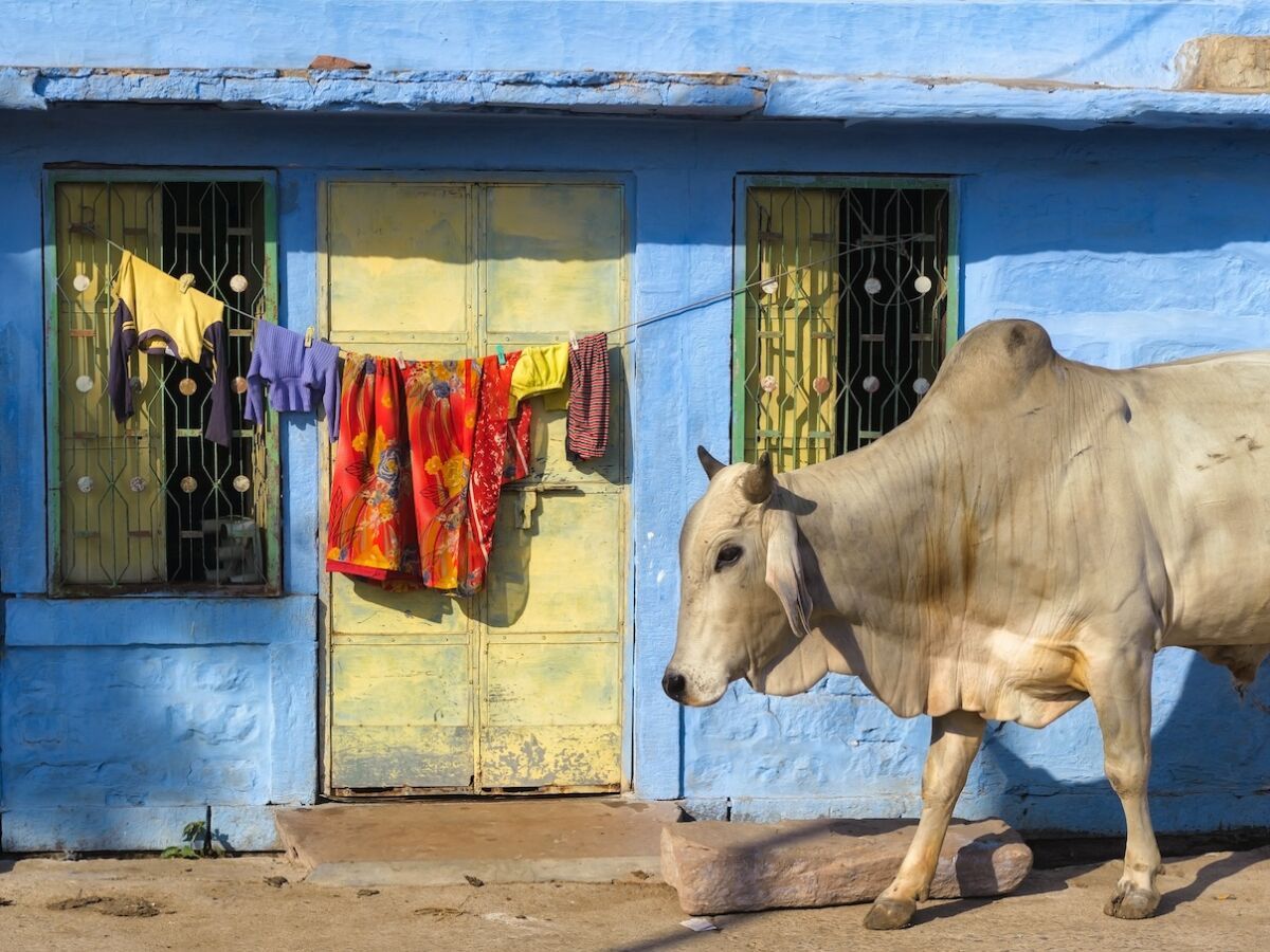 You Need Patience to Understand India