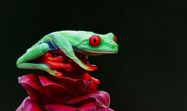 17 Most Biodiverse Places on Earth