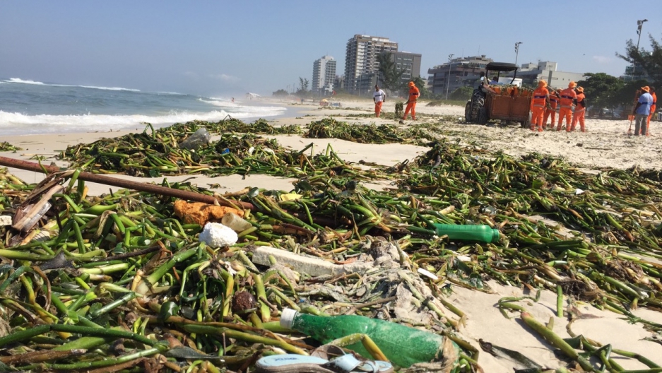 Rio’s Filthy Water Is Already Making Pro Athletes Sick