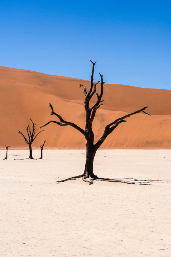 I Can Feel Namibia Calling Me Back