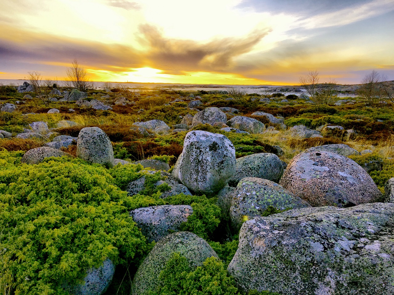 10 Stunning Images of the Remote Finnish Island of Utö