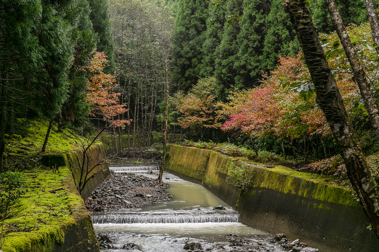 A Photographic Pilgrimage Through Japan's Kumano Kodo