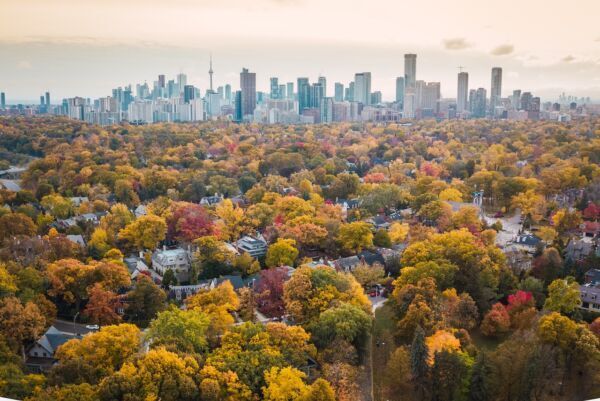 Toronto's 10 Best Public Parks and Gardens