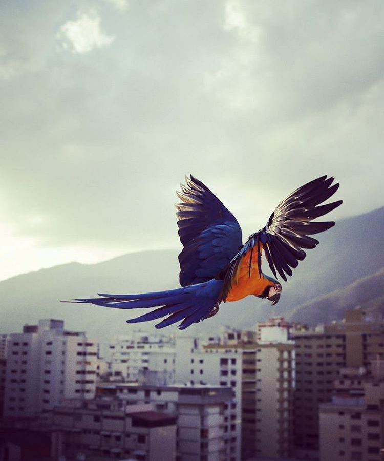 10 Spots That Remind Us How Beautiful Caracas Really Is