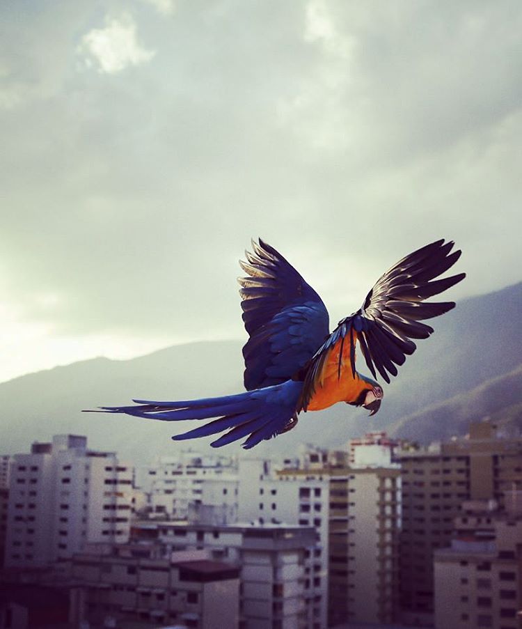 10 Spots That Remind Us How Beautiful Caracas Really Is
