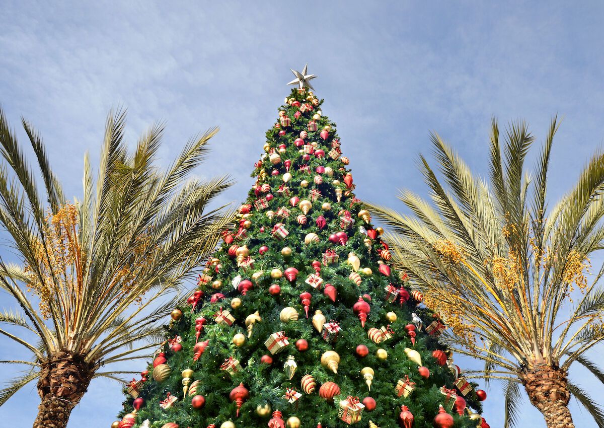 24 Signs You Grew Up Celebrating the Holidays in California
