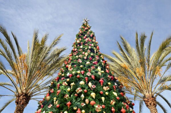 24 Signs You Grew Up Celebrating the Holidays in California