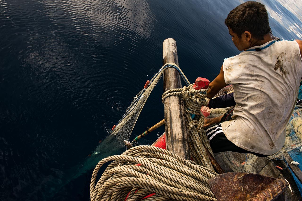 In Search of Blast Fishing in Indonesia