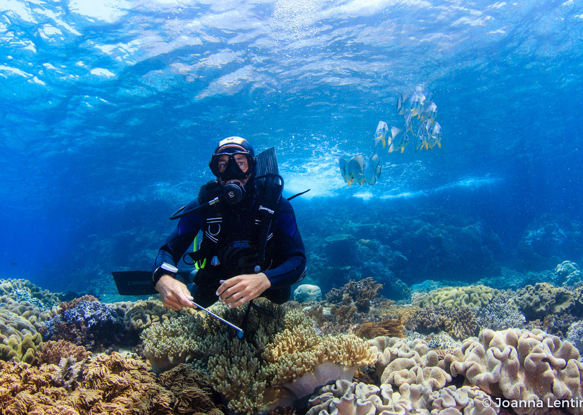 12 Simple Things You Can Do Every Day to Help Our Oceans