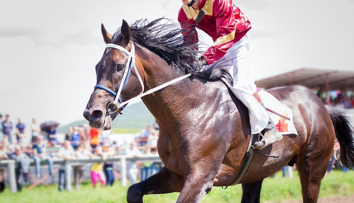 10 Awesome Experiences You Can Only Have in Kentucky