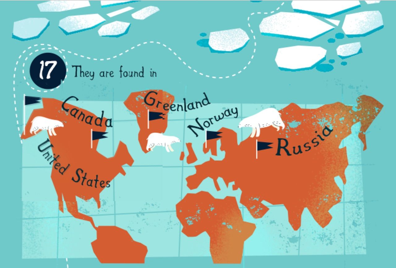 Check Out This Infographic and Learn More About Polar Bear.