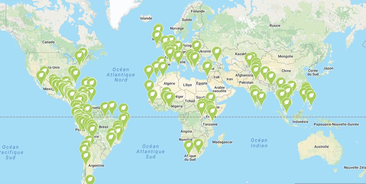Check Out Our Map to Travel the World and Help Our Planet!