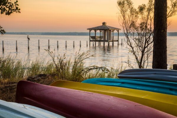 7 Funny Tips to Survive a Scorching Hot Summer in Alabama