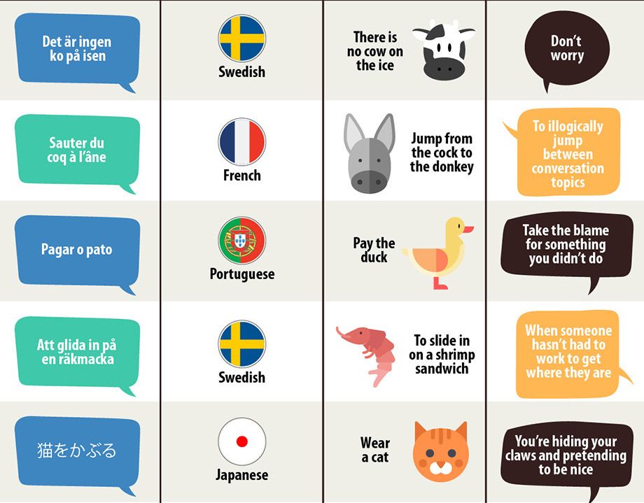 Foreign Idioms That Make No Sense When Translated Into English