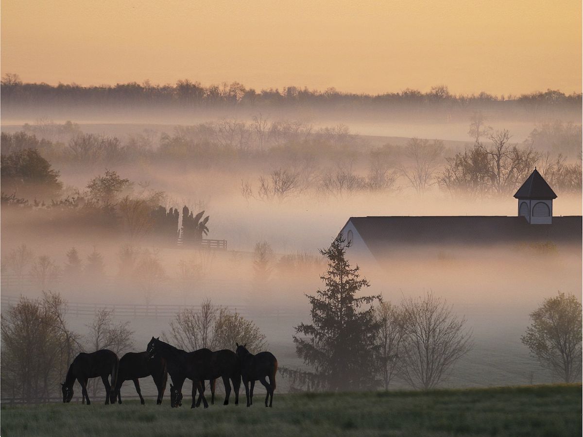 Kentucky: Unbridled Spirit - Matador Network
