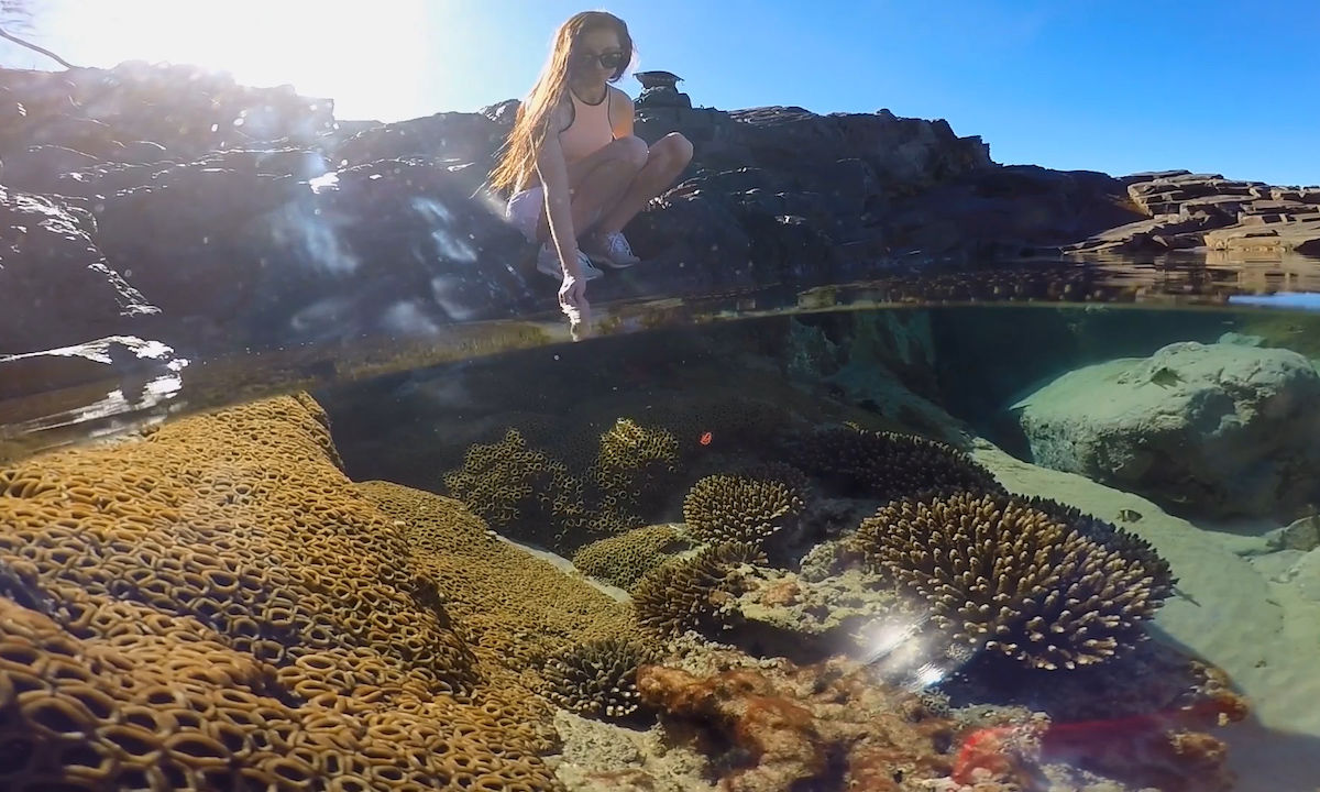 How to Plan the Perfect Visit the Fairy Pools of Australia
