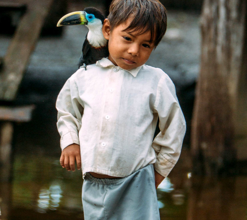 The Peruvian Amazon 26 Images That Capture Its Beautiful Diversity 0644