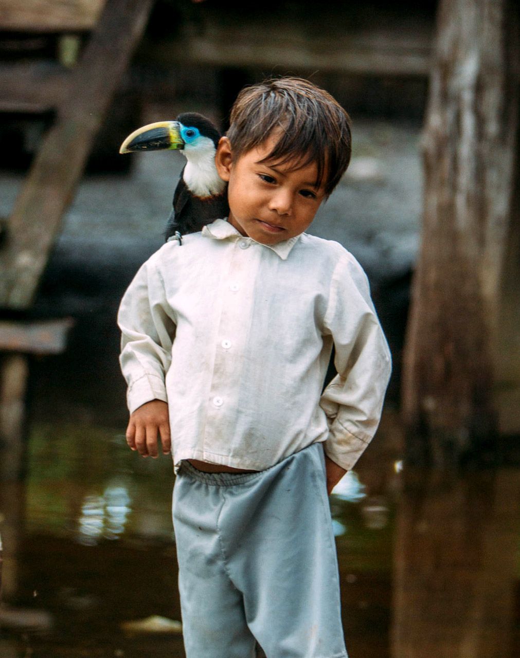 The Peruvian Amazon: 26 images that capture its beautiful diversity ...