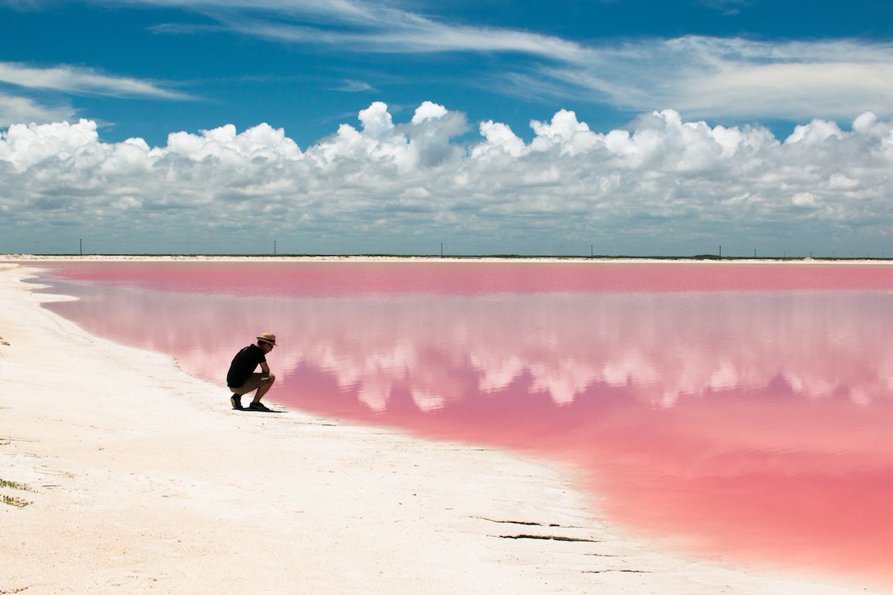 Everything You Need To Know To Plan a Trip To Las Coloradas' Pink Lakes