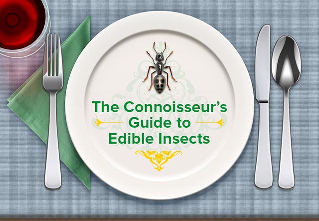 A Practical Guide to Eating Insects [INFOGRAPHIC]