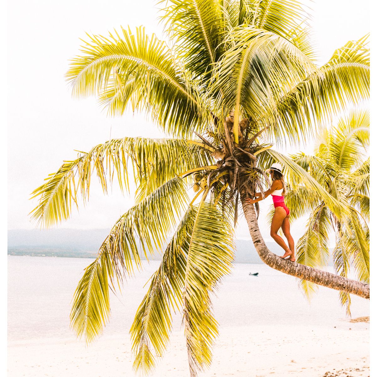 Fiji Is the Ultimate Tropical Paradise You've Been Searching for: Here ...