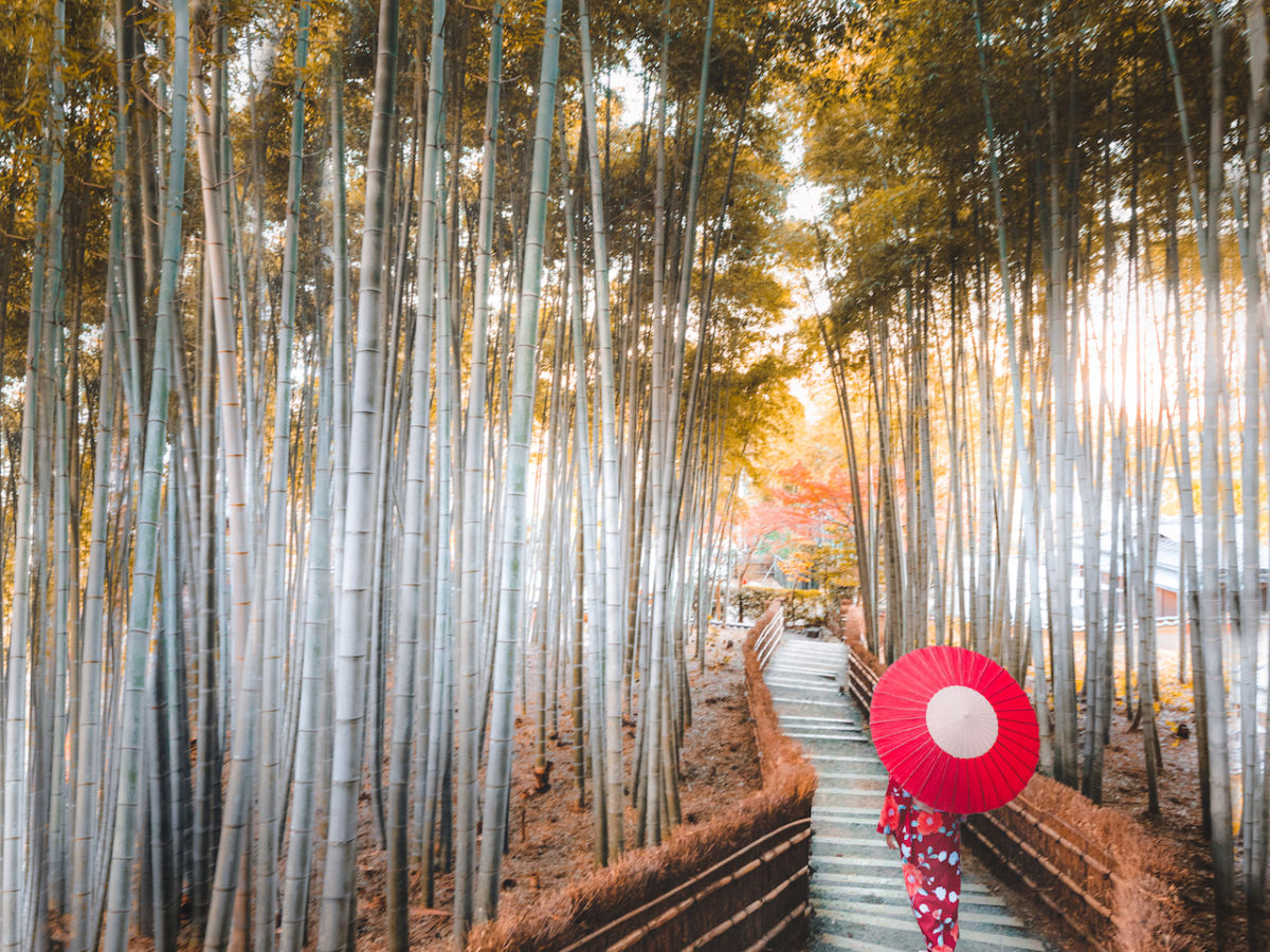 9 of the Most Amazing Images of Japan's Traditional Facets