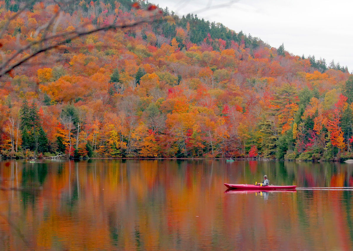 5 Essential Experience to Have in Maine if You Want to Pass for a Local