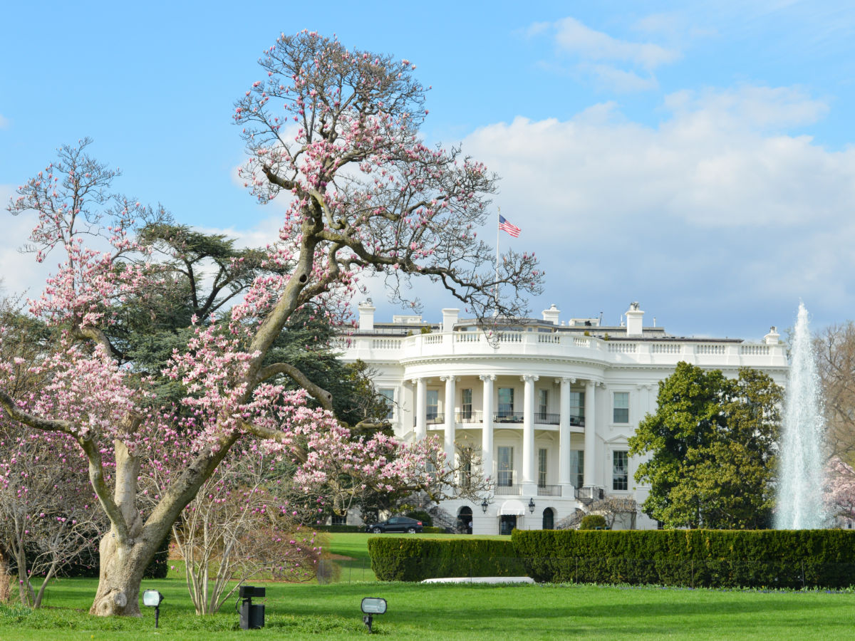 Obama to Do Away With Color-Coded Terror Alerts?