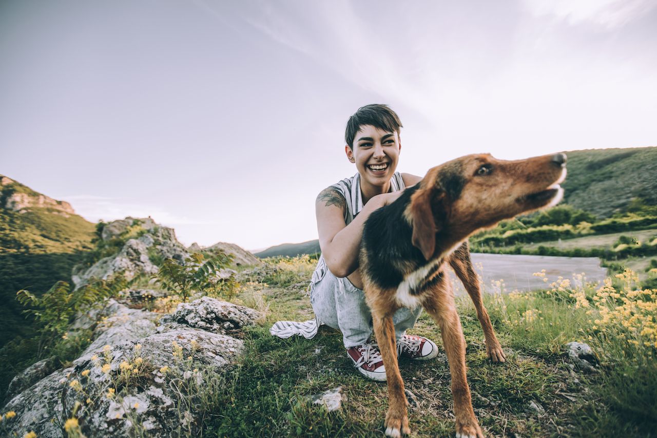 The 7 Best Places in the World for Dog Lovers