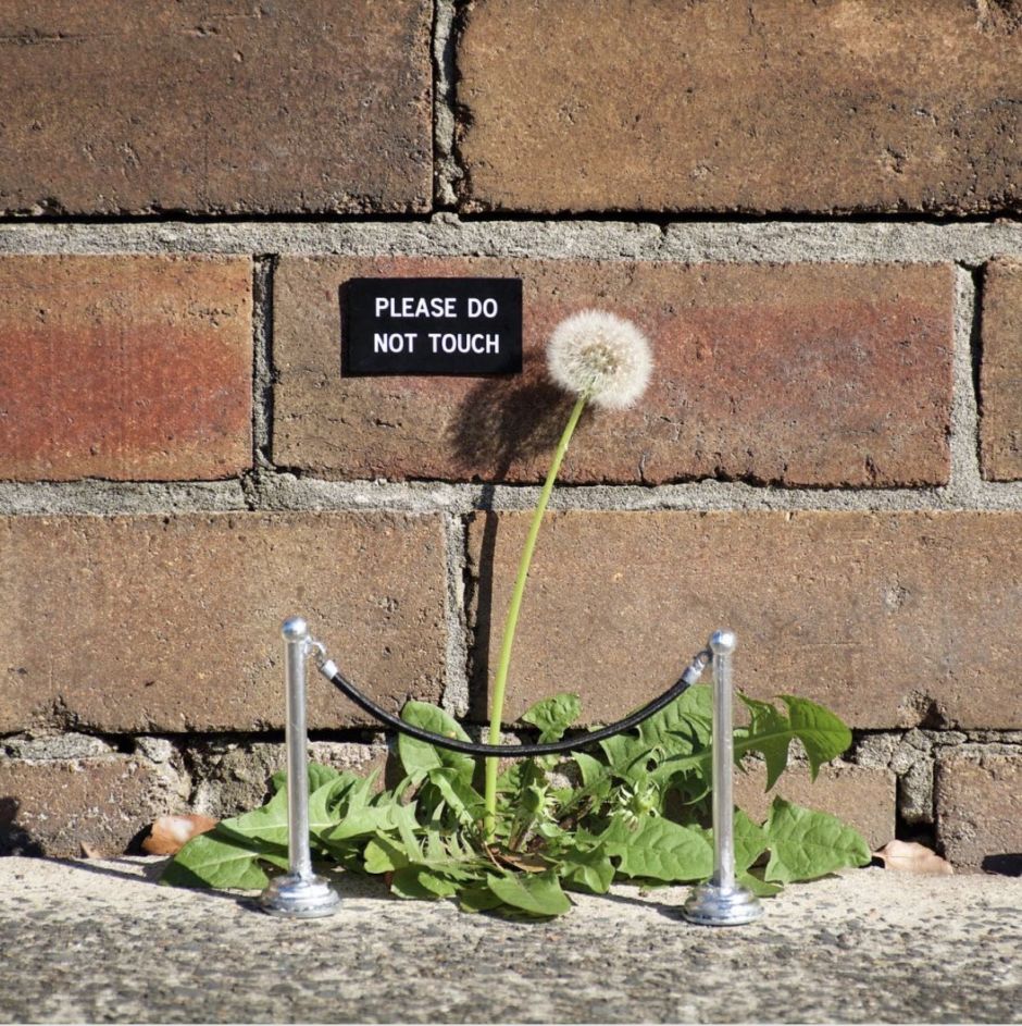 This Artist Transforms Ordinary Things on the Street Into Whimsical Art