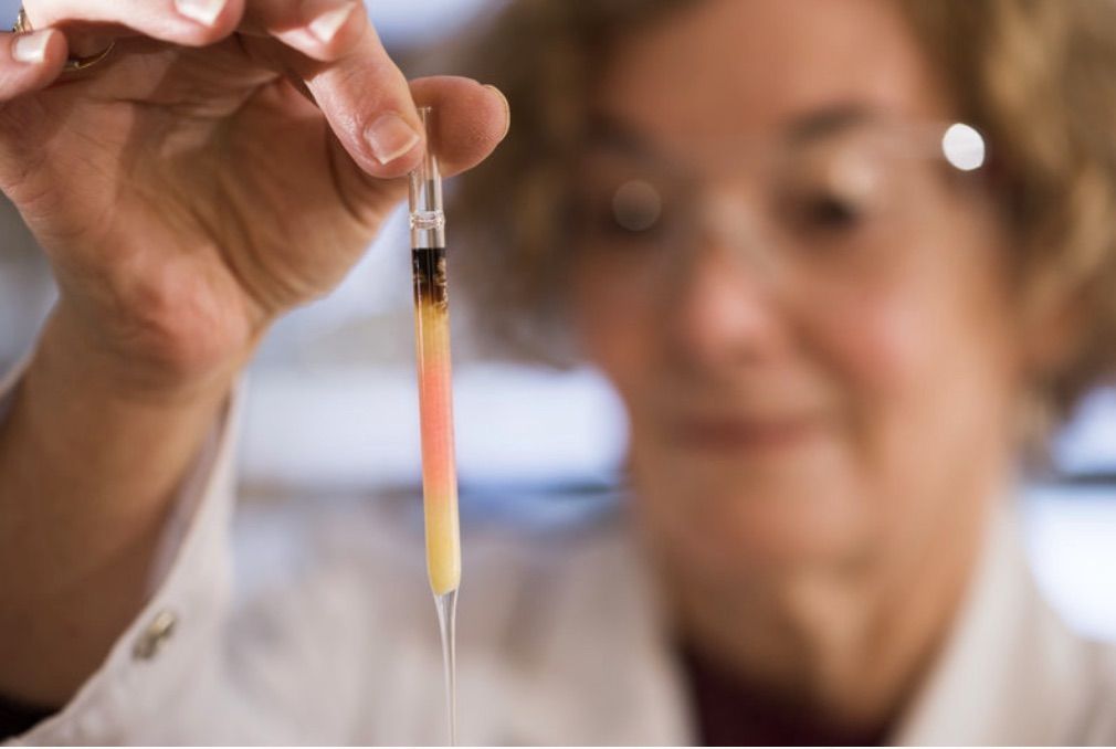 Scientists Discovered the First Color Made by a Living Thing: Pink