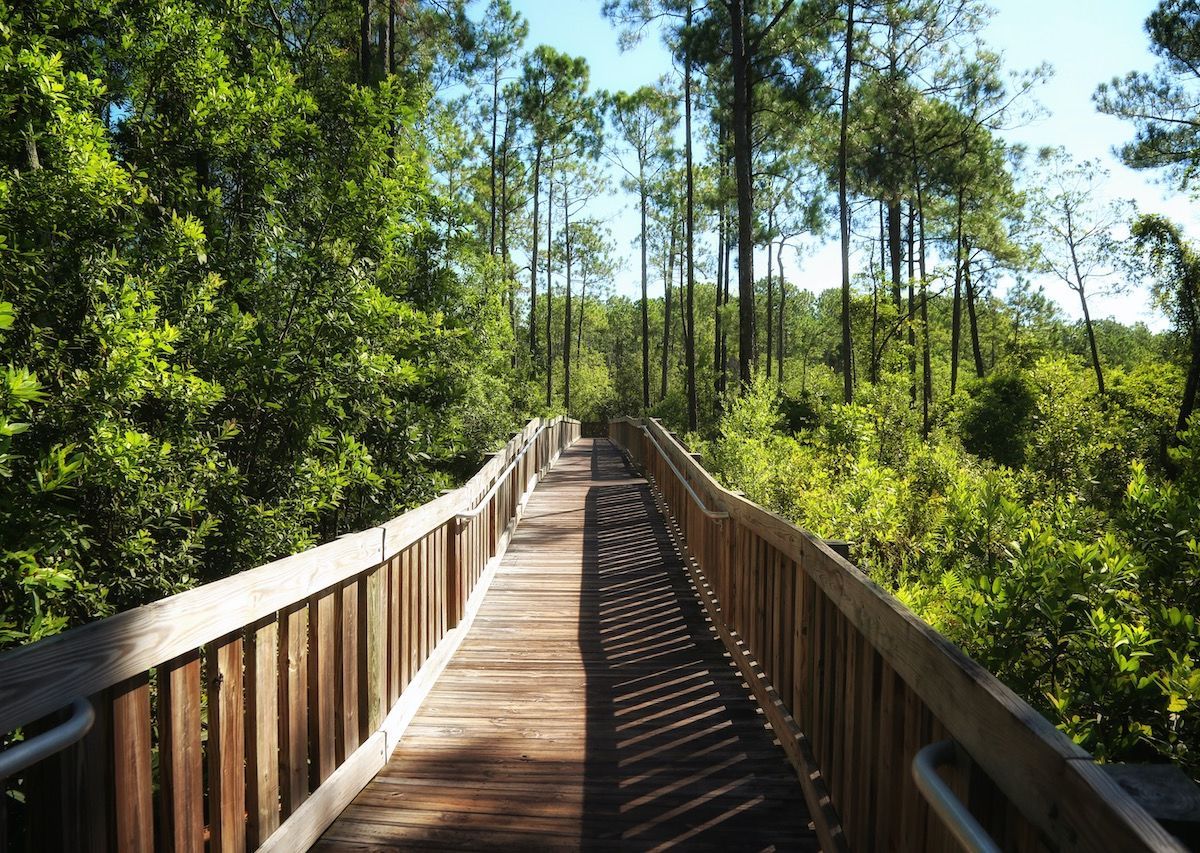 The Best State Parks in Florida
