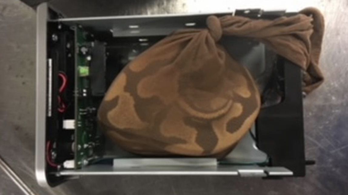 A Passenger Tried to Sneak a Python Through Airport Security