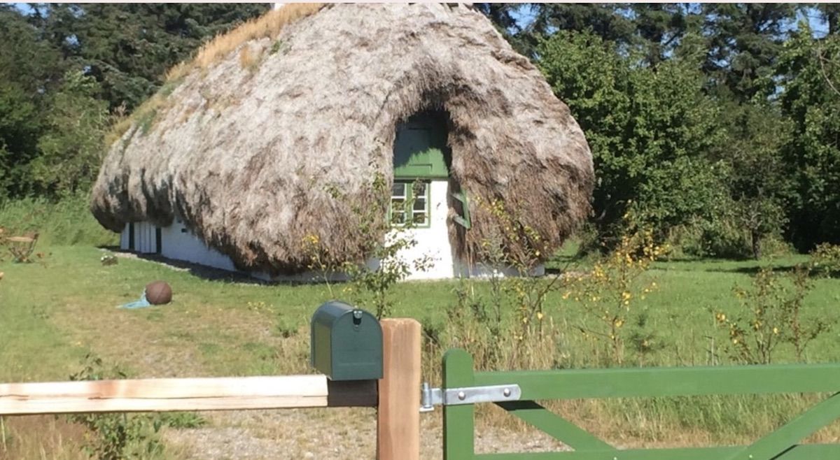 This 18th-Century Danish Cottage With Seaweed for a Roof Is Officially ...